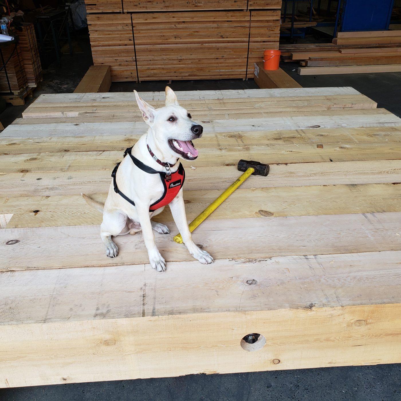 Wide Timber Pads for a bridge lift | Industrial Timber Products by CarlWood