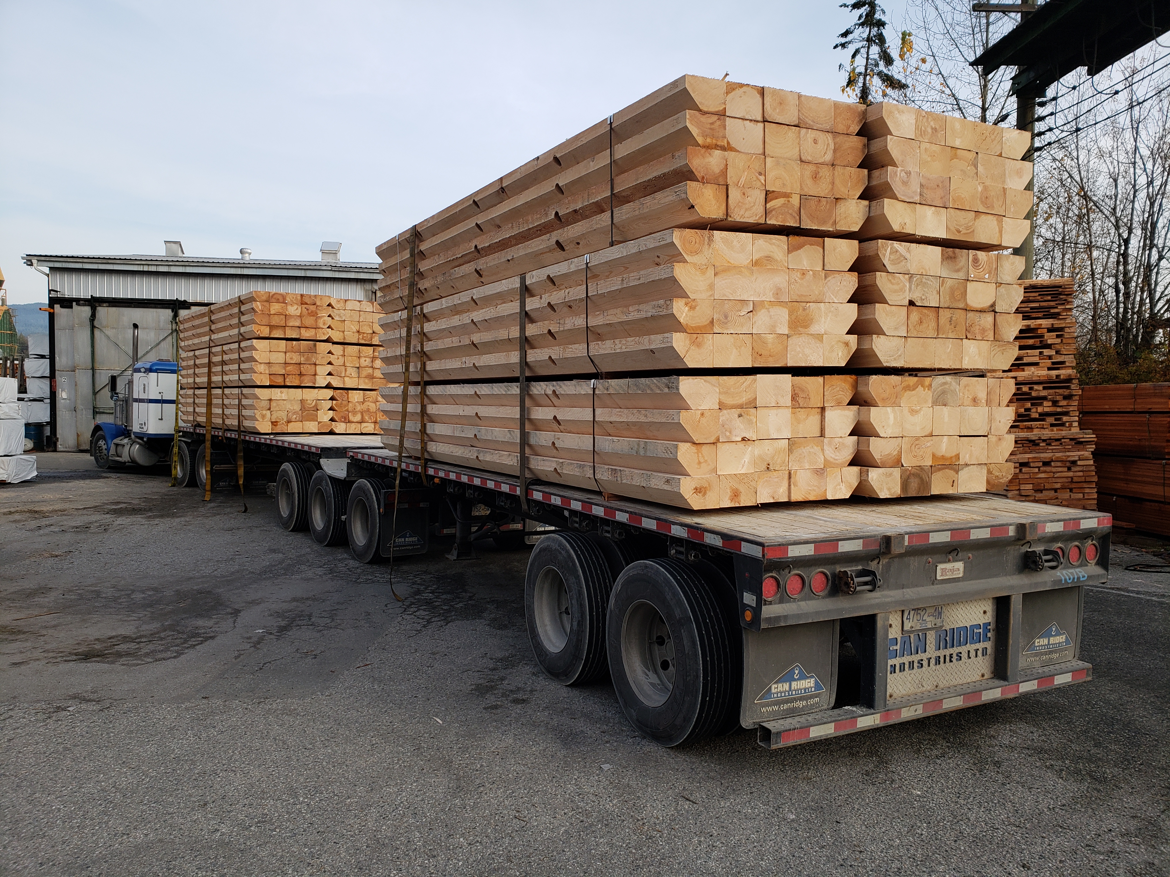 Rail Crossing Panels | Industrial Timber Products by CarlWood