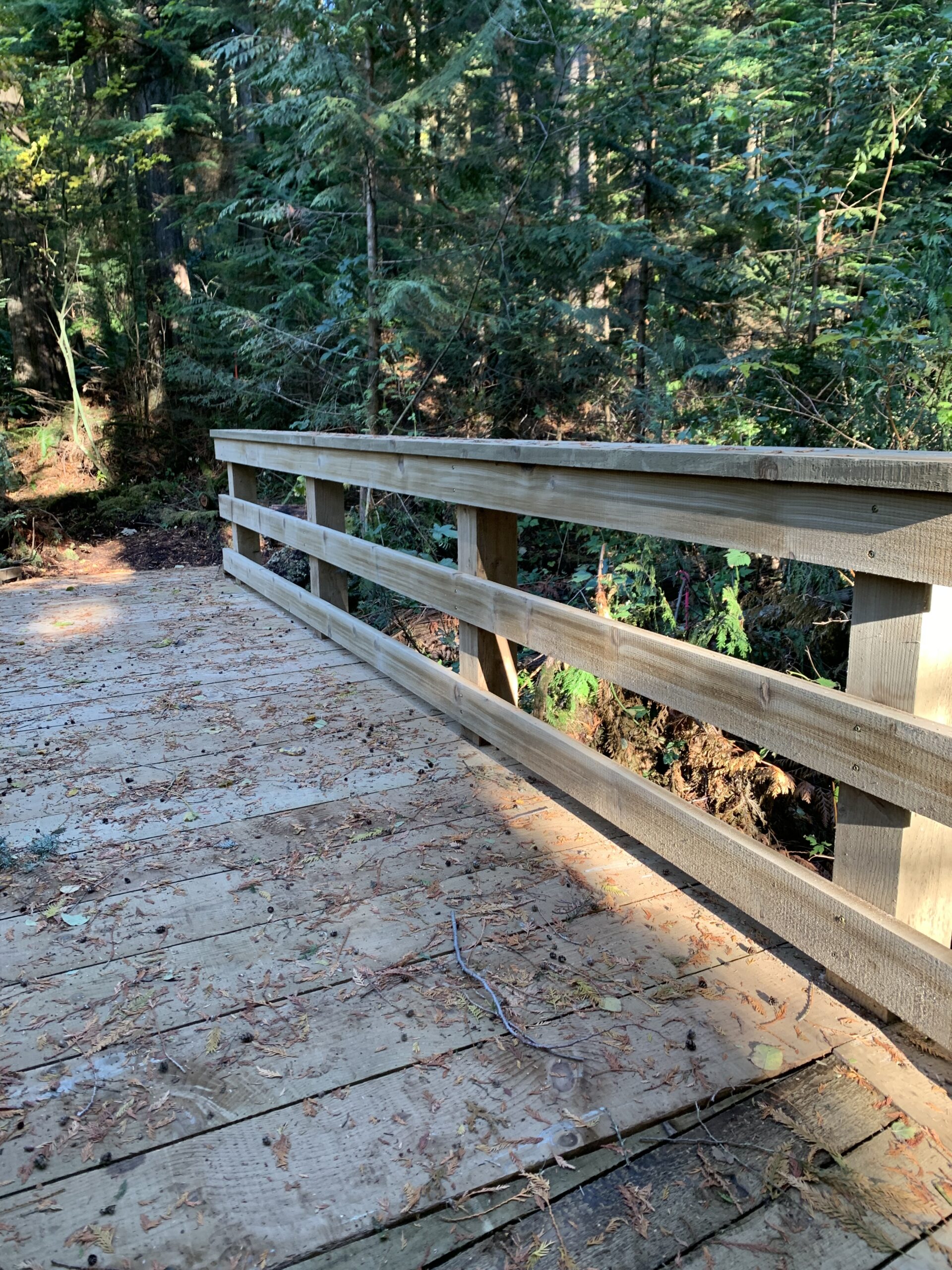 Trail Bridge | Industrial Timber Products by CarlWood